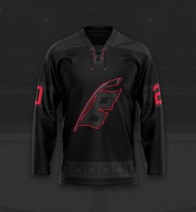 Checkout these Amazing Alternate Jerseys Designs for all 32 NHL Teams