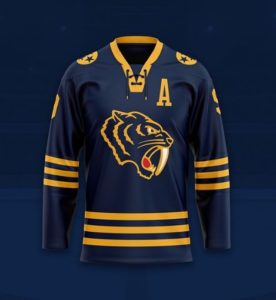 Checkout these Amazing Alternate Jerseys Designs for all 32 NHL Teams