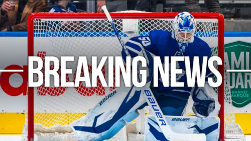 Leafs' Goalie Troubles Persist: Another Emergency Backup Called Up